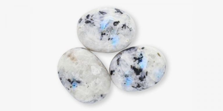 5 Best Palm Stone Benefits, Uses, Meaning For Crystal Lovers