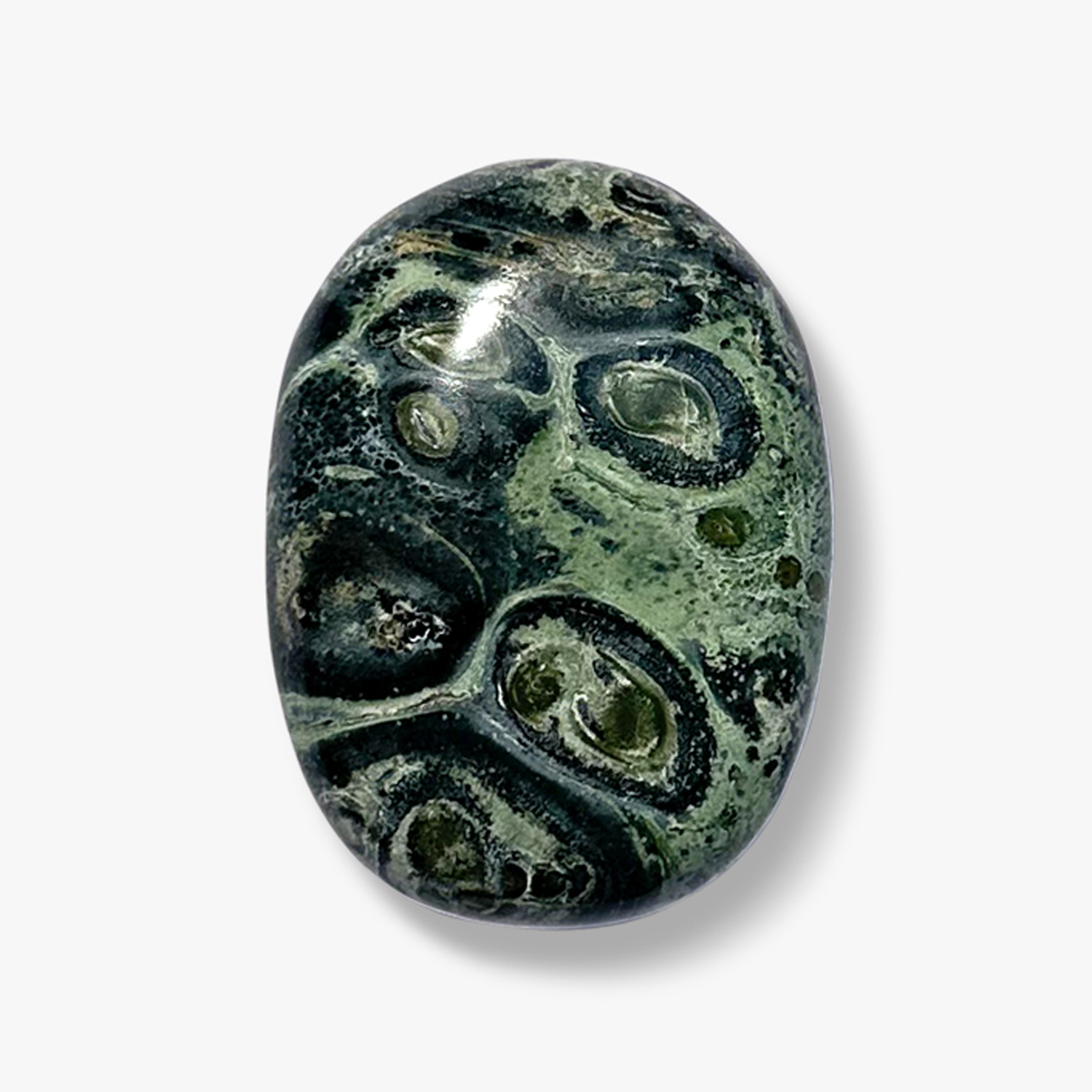 Buy Kambaba Crystal Palm Stone Wholesale | Bulk Crystals
