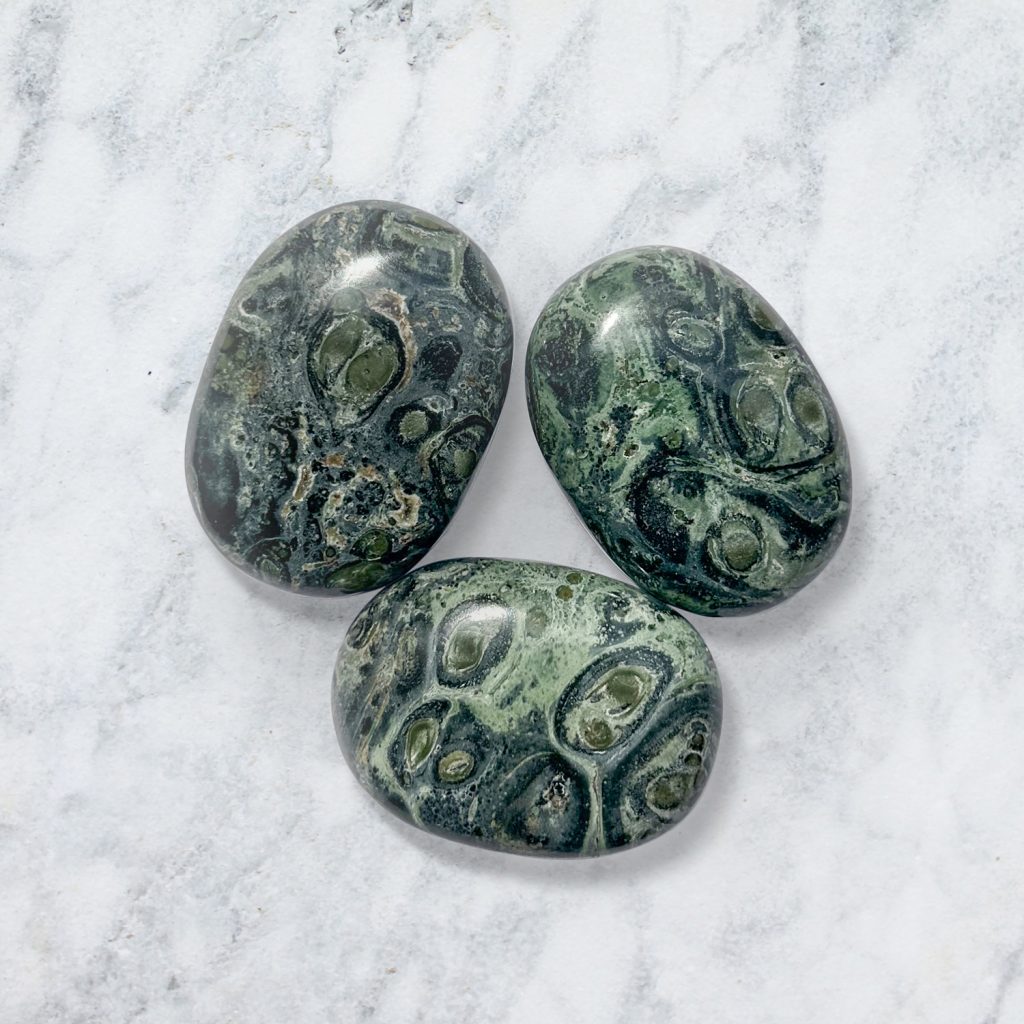 Buy Kambaba Crystal Palm Stone Wholesale | Bulk Crystals