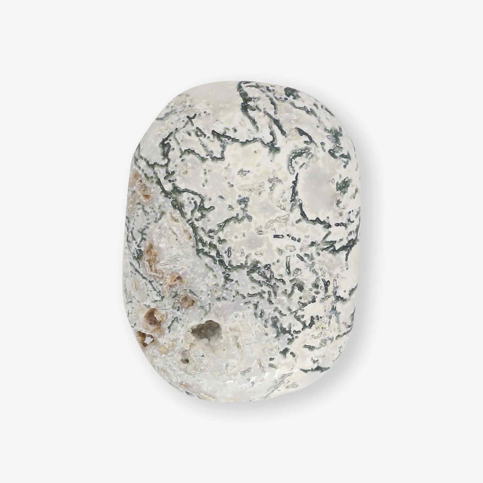 Tree Agate Palm Stone | Natural Crystals and Stones